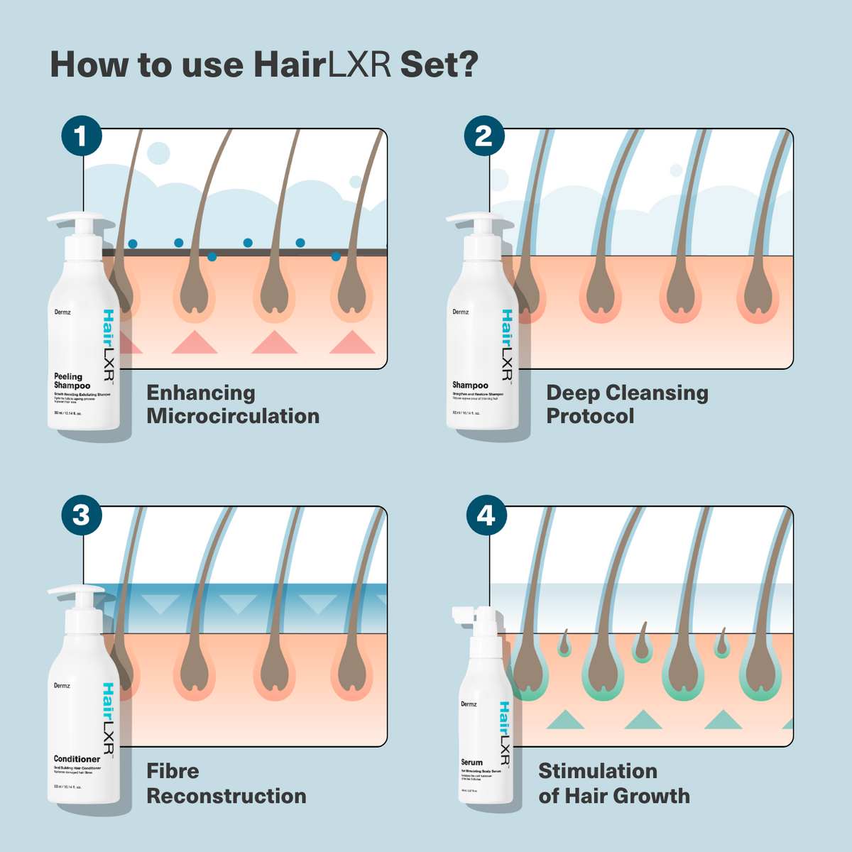 4-Step HairLXR Set For Hair Loss, Thinning And Oily Hair
